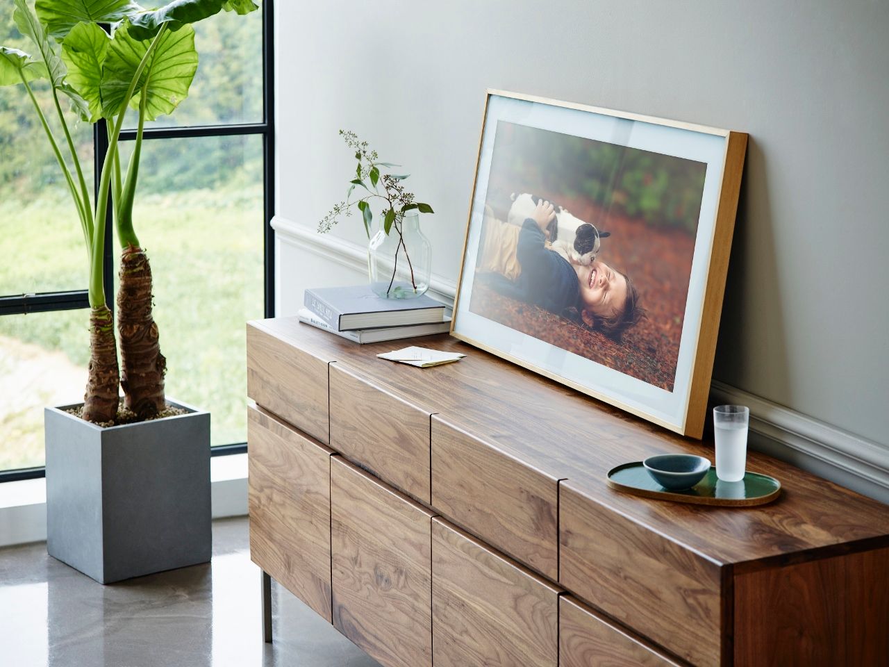 Here’s What the Future of TVs Will Look Like