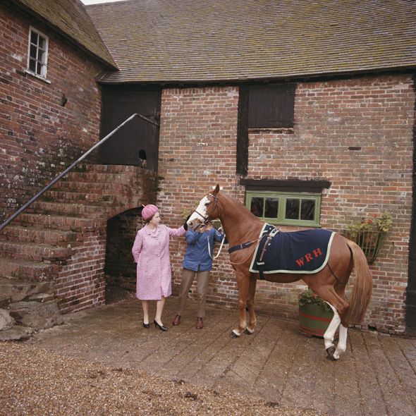 See Queen Elizabeth With Corgis, a Panda, Elephants, and Other Animals