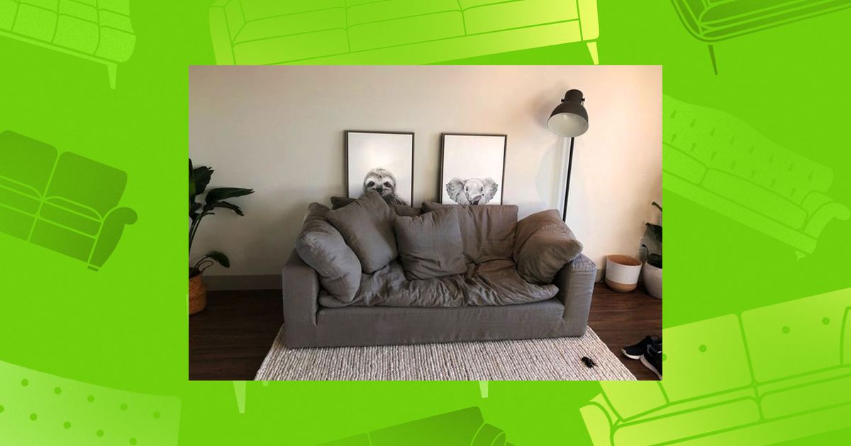 I Bought the Wrong Couch | The Strategist