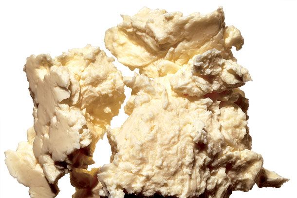 From Adelegger to Zimbro: 50 Runny, Yummy, Crumbly Cheeses to Eat Now