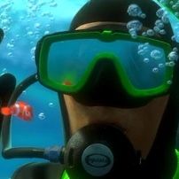 Was Disney Springs Robbed by a Scuba-Diving Thief?