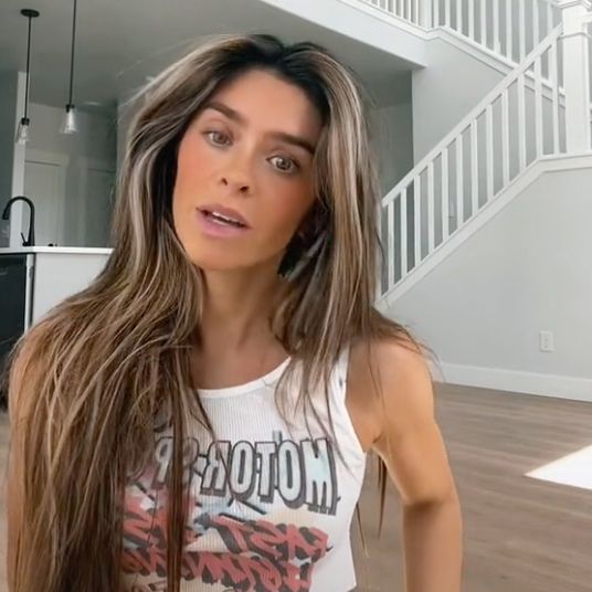 Who is TikTok Cleaning Influencer Kylie Perkins?