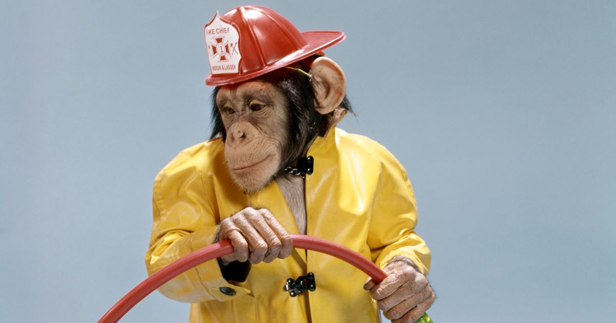 The Best Jobs of 2016, Explained in the Style of Richard Scarry