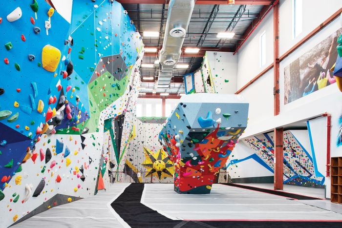 The Best of New York Health and Wellness 2019