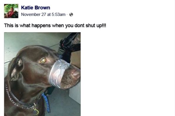 How Do You Get A Dog To Shut Up