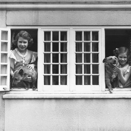 See Queen Elizabeth With Corgis, a Panda, Elephants, and Other Animals