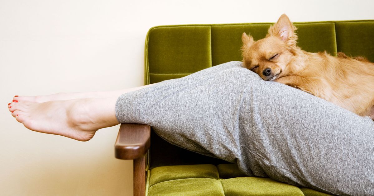 Why Am I Always Tired? 7 Reasons You’re Sleepy