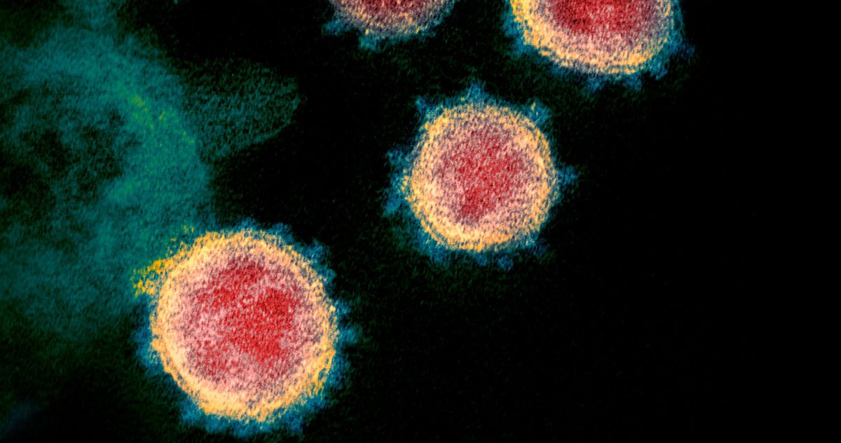 New Coronavirus Mutant Emerges as Most Contagious Strain