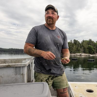 Democratic Divisions Loom in Fight to Take on Susan Collins