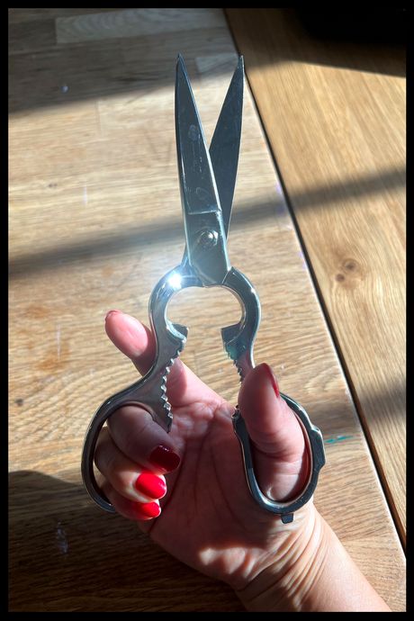 7 Best Kitchen Shears 2024 | The Strategist