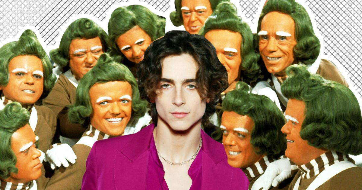 Timothée Chalamet Cast as Young Willy Wonka in Reboot