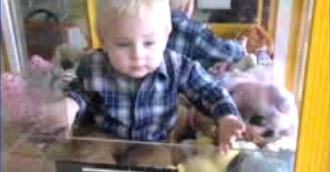 Little Kid Happily Makes New Home Inside Toy Claw-Machine