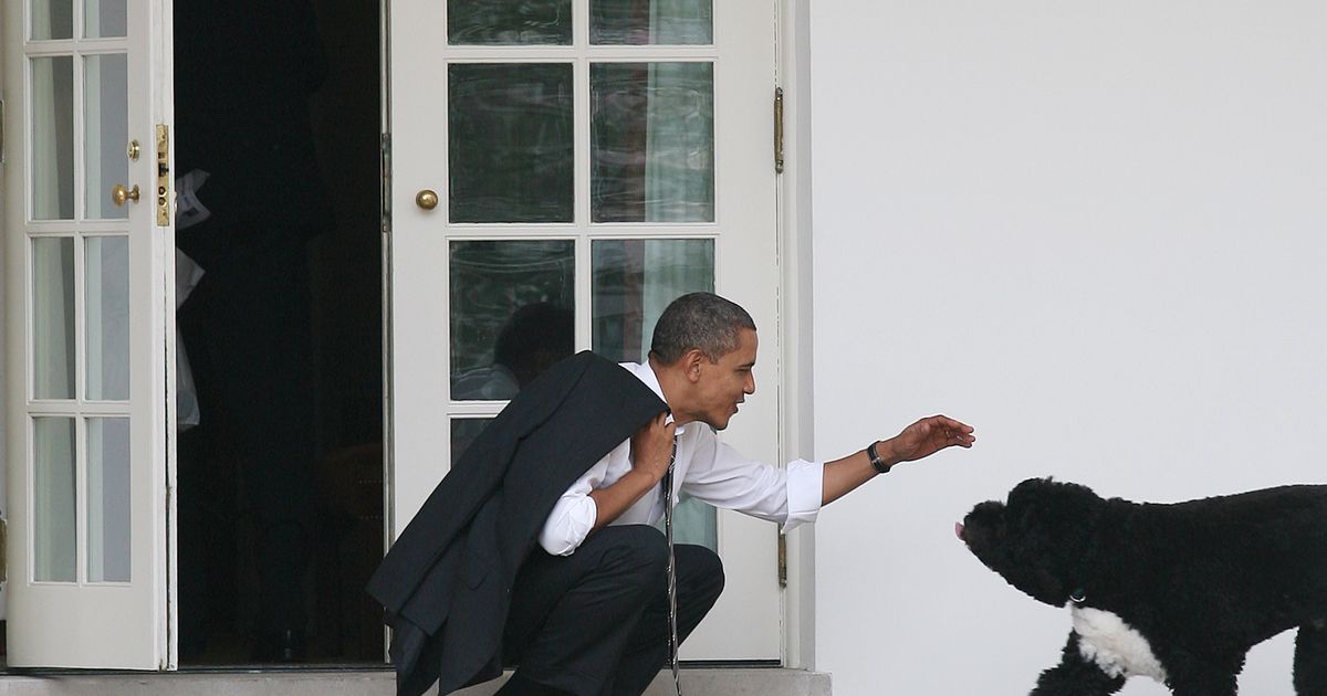 White House Battling Bo-besity