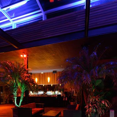 First Look at Ludlow Manor, Your Palm-Tree-Lined LES Oasis