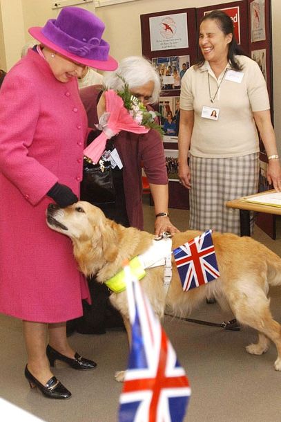See Queen Elizabeth With Corgis, a Panda, Elephants, and Other Animals