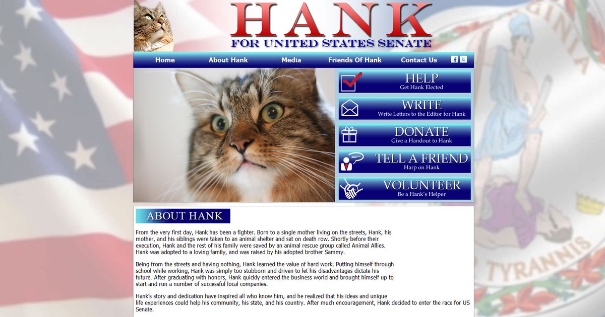 Ain’t No Rule That Says a Cat Can’t Run for Senate!