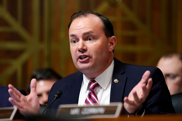 Look at All These Angry Boys