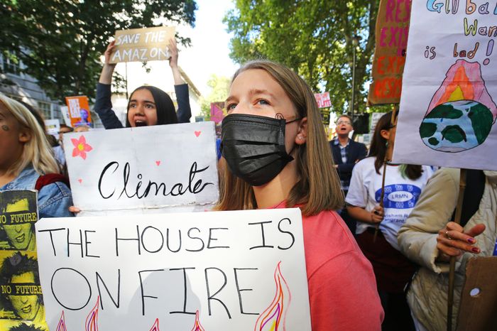 Climate Strike 2019: The Best Protest Signs