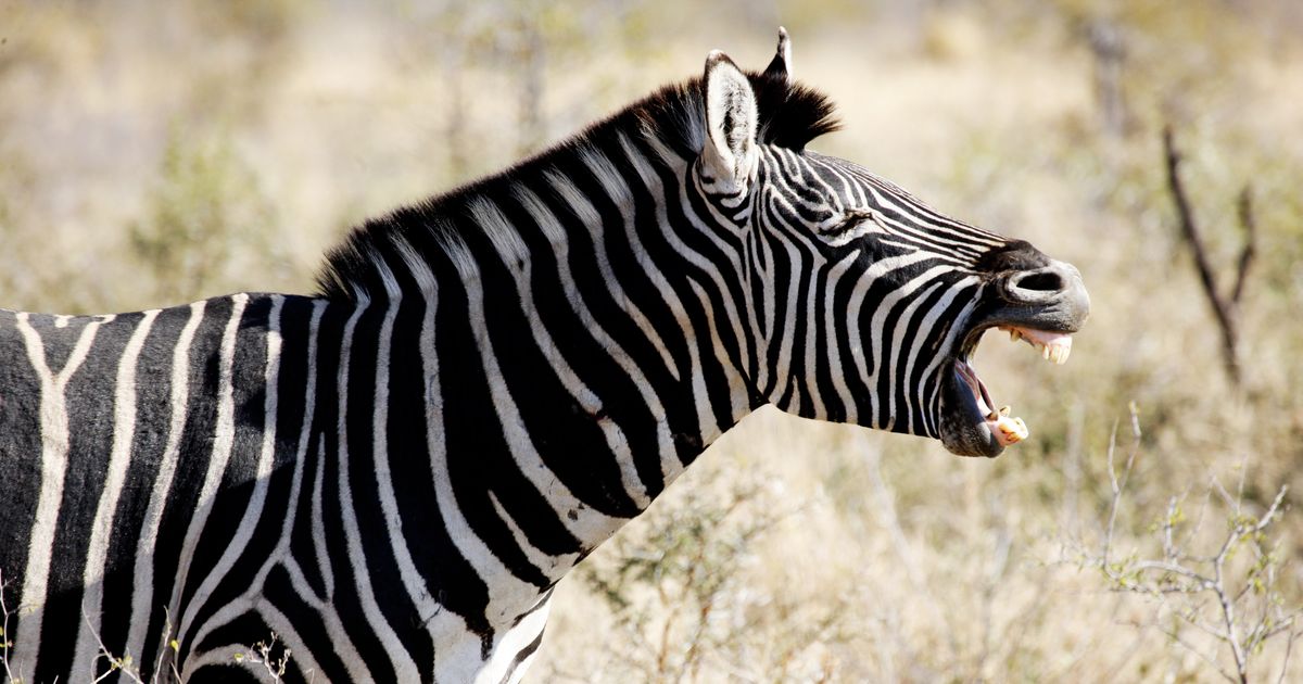 Ask Polly: Why Are Other People Always Messing Up?