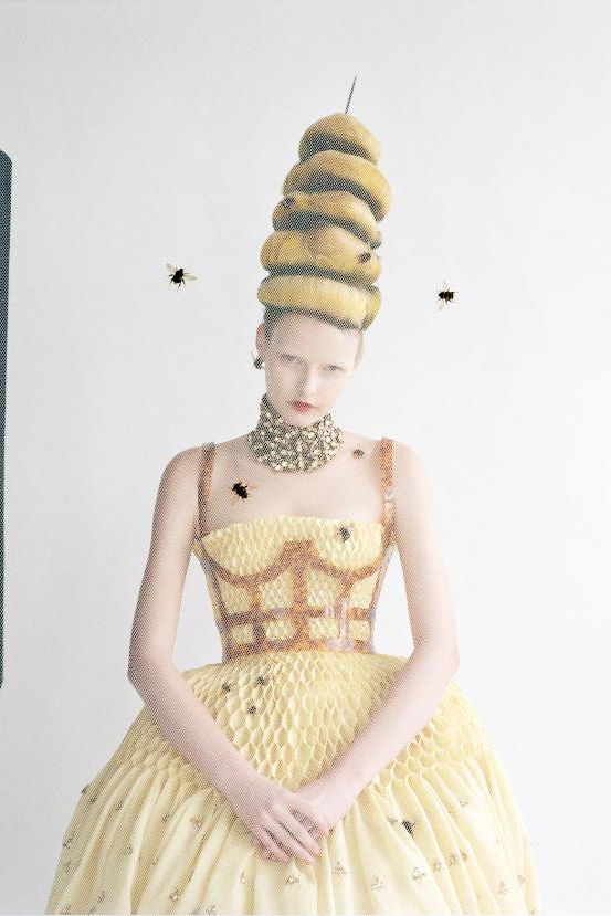 Phyllis Posnick Stoppers: Photographs from My Life at Vogue