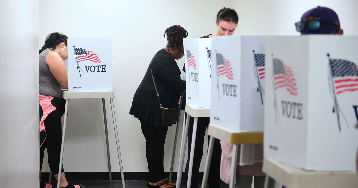 Strong Midterm Turnout Should Continue in 2020