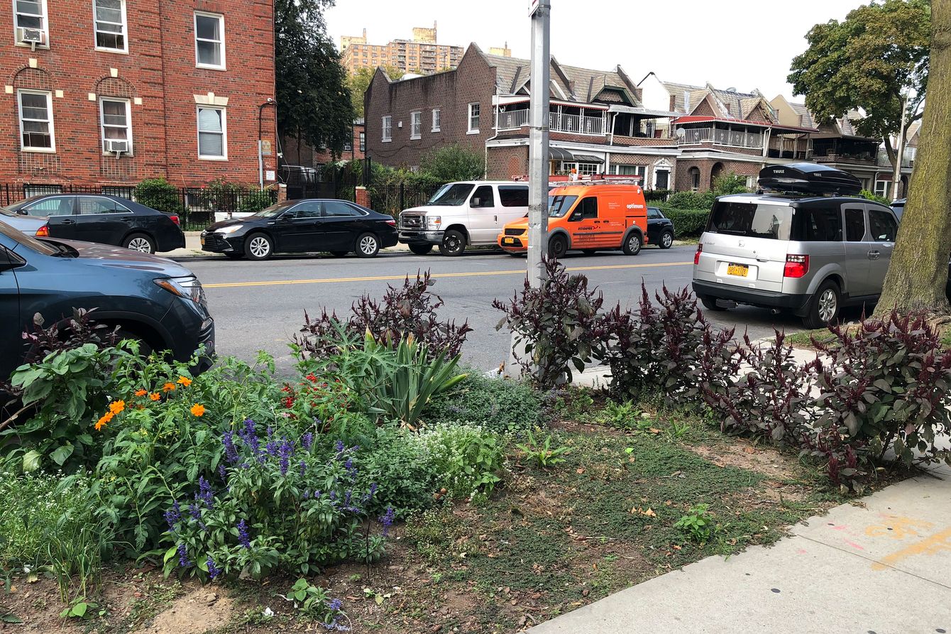 New York City’s Tree Pit Gardens