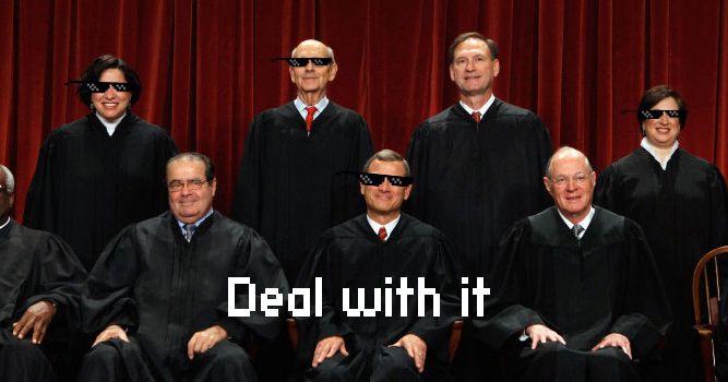 Slideshow: Obamacare Memes - Slideshow - Vulture