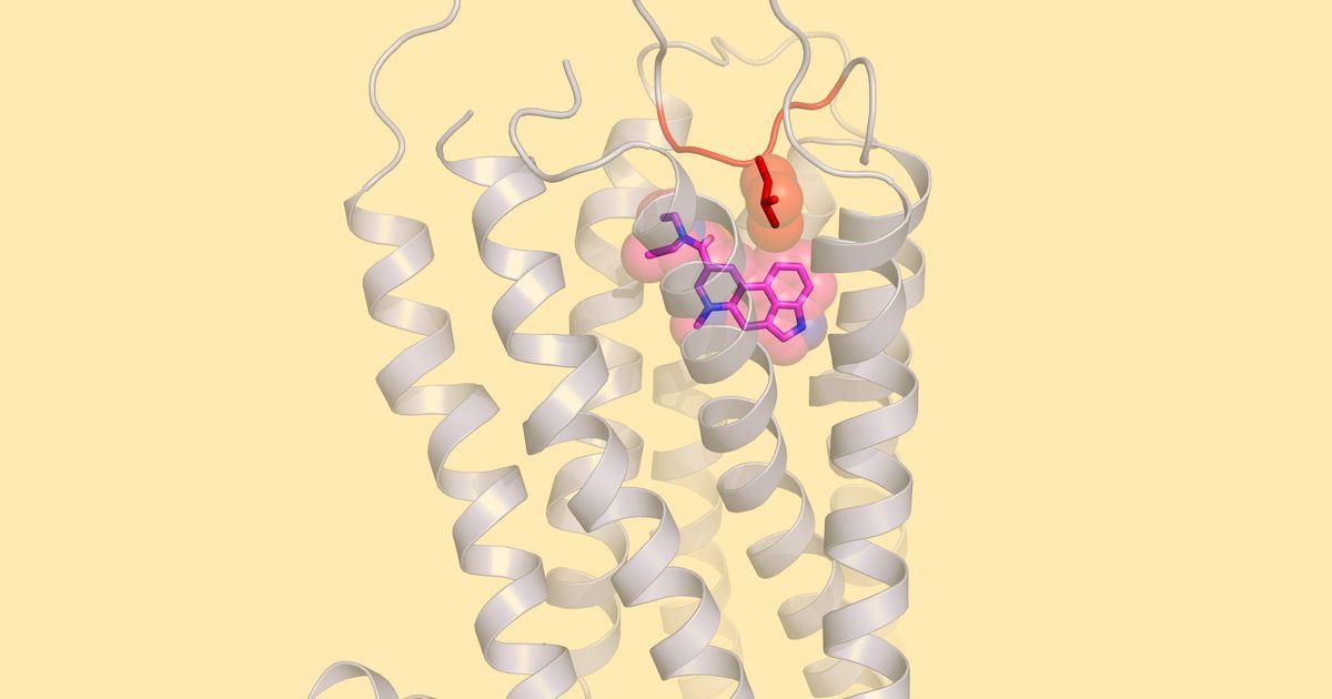 How Long Does LSD Last? -- Science of Us