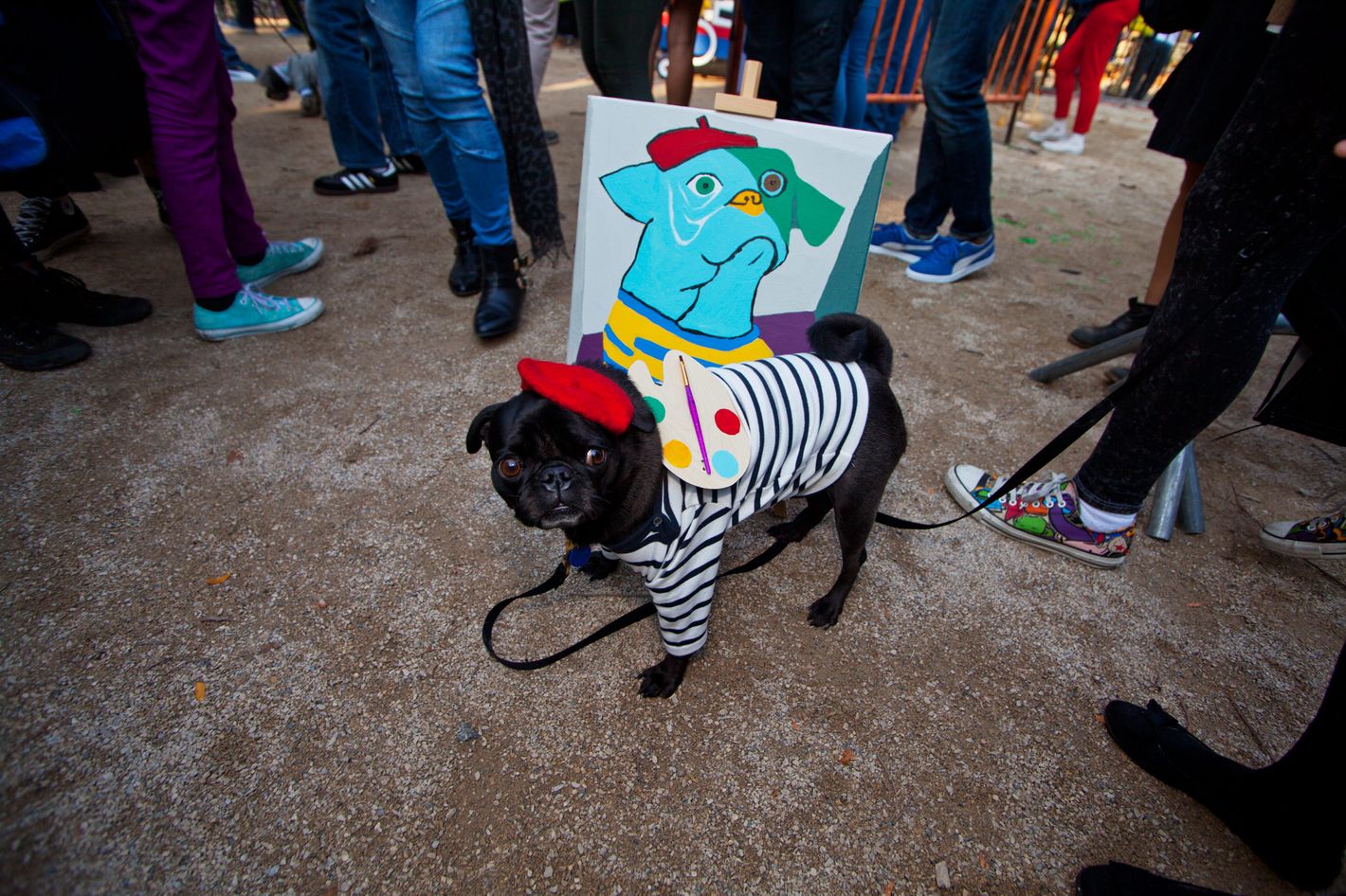 Here Are the Best Costumes From This Year’s Halloween Dog Parade