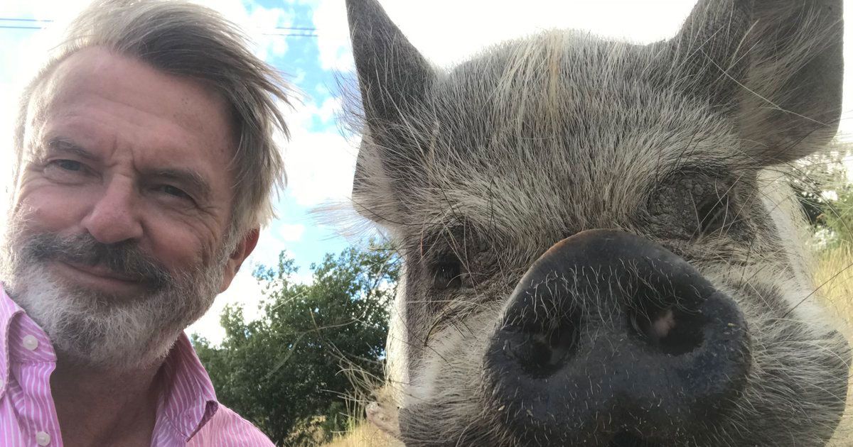Sam Neill Interview About Twitter