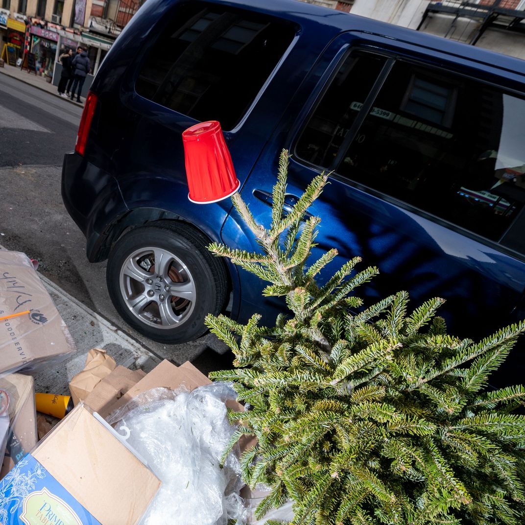 The Second Life of New York’s Discarded Christmas Trees