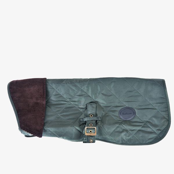 11 Best Dog Jackets and Coats | The Strategist
