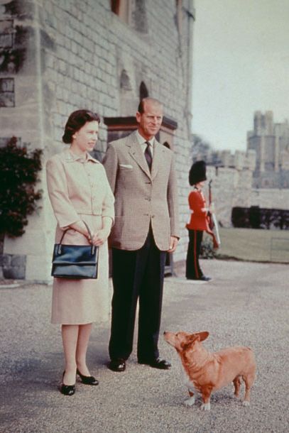 See Queen Elizabeth With Corgis, a Panda, Elephants, and Other Animals