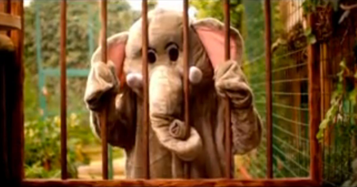 Coldplay’s ‘Paradise’ Involves Unicycling Elephants