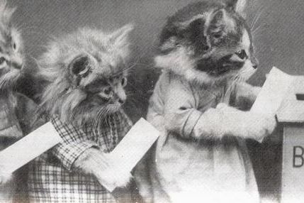 Obama Also Won Election Night Memes