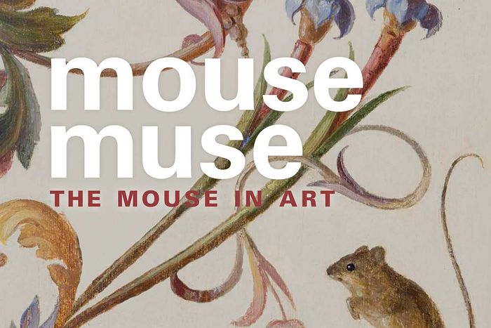 21 Art Books to Give This Holiday - Slideshow - Vulture