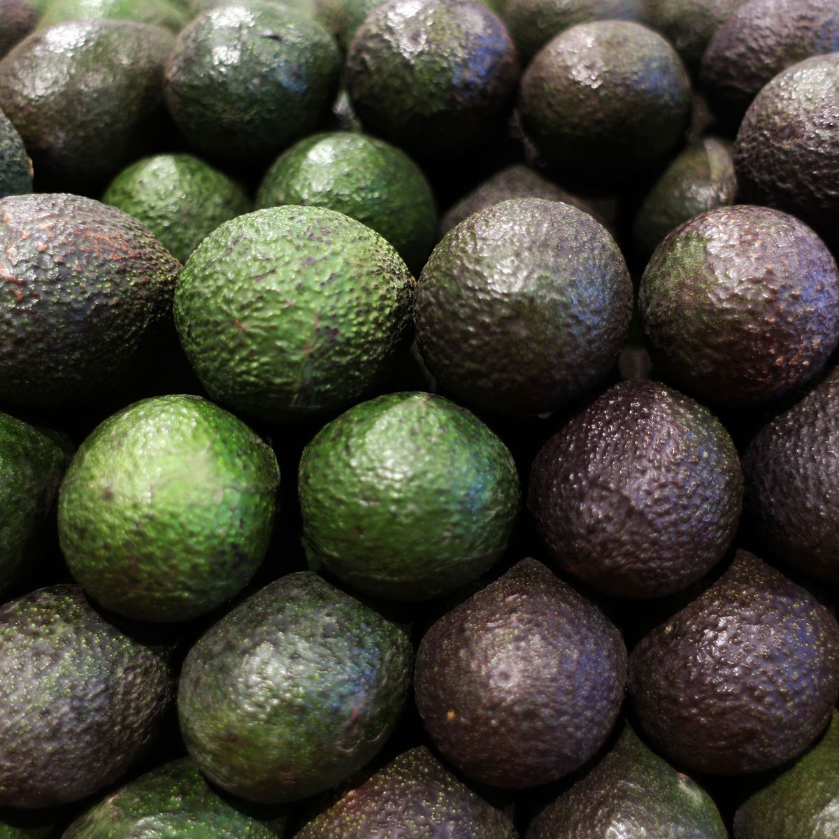 GitHub - sagarsmg/Avocado-Price-prediction: Python Machine learning project on Avocado price ...
