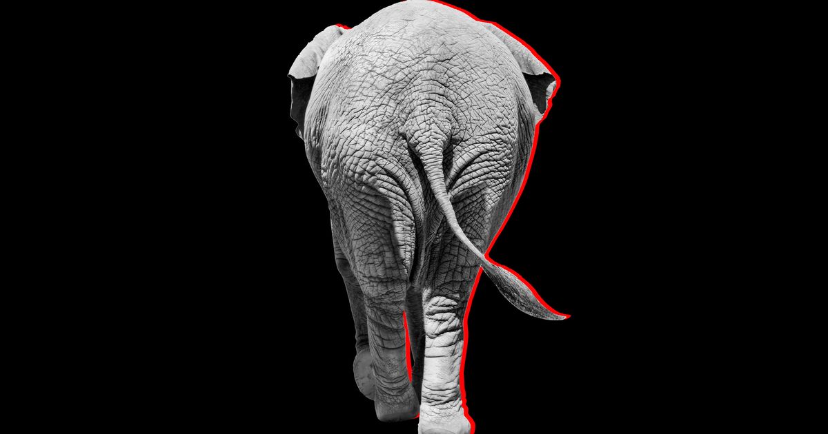 Endangered Republicans Could Begin Rebelling Against Trump