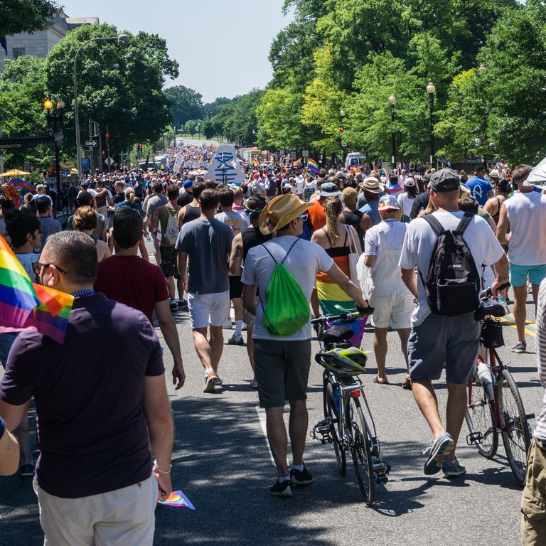Photos: Dissent Was in Style at D.C.’s Pride Parade