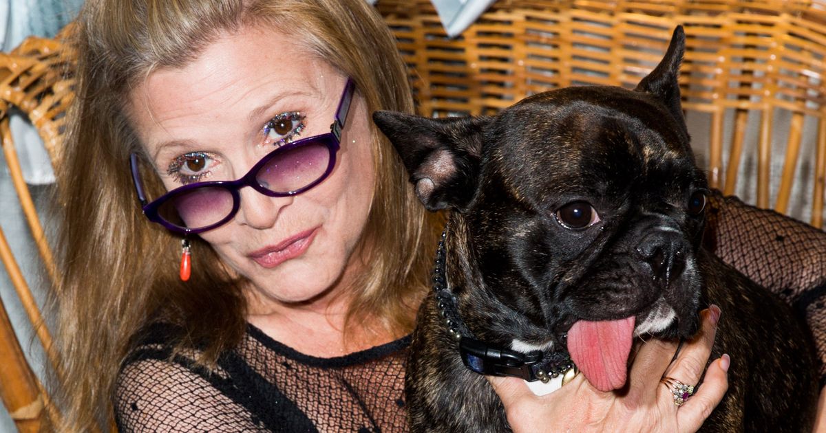 These Photos of Carrie Fisher and Her Dog Gary Will Make You Feel ...