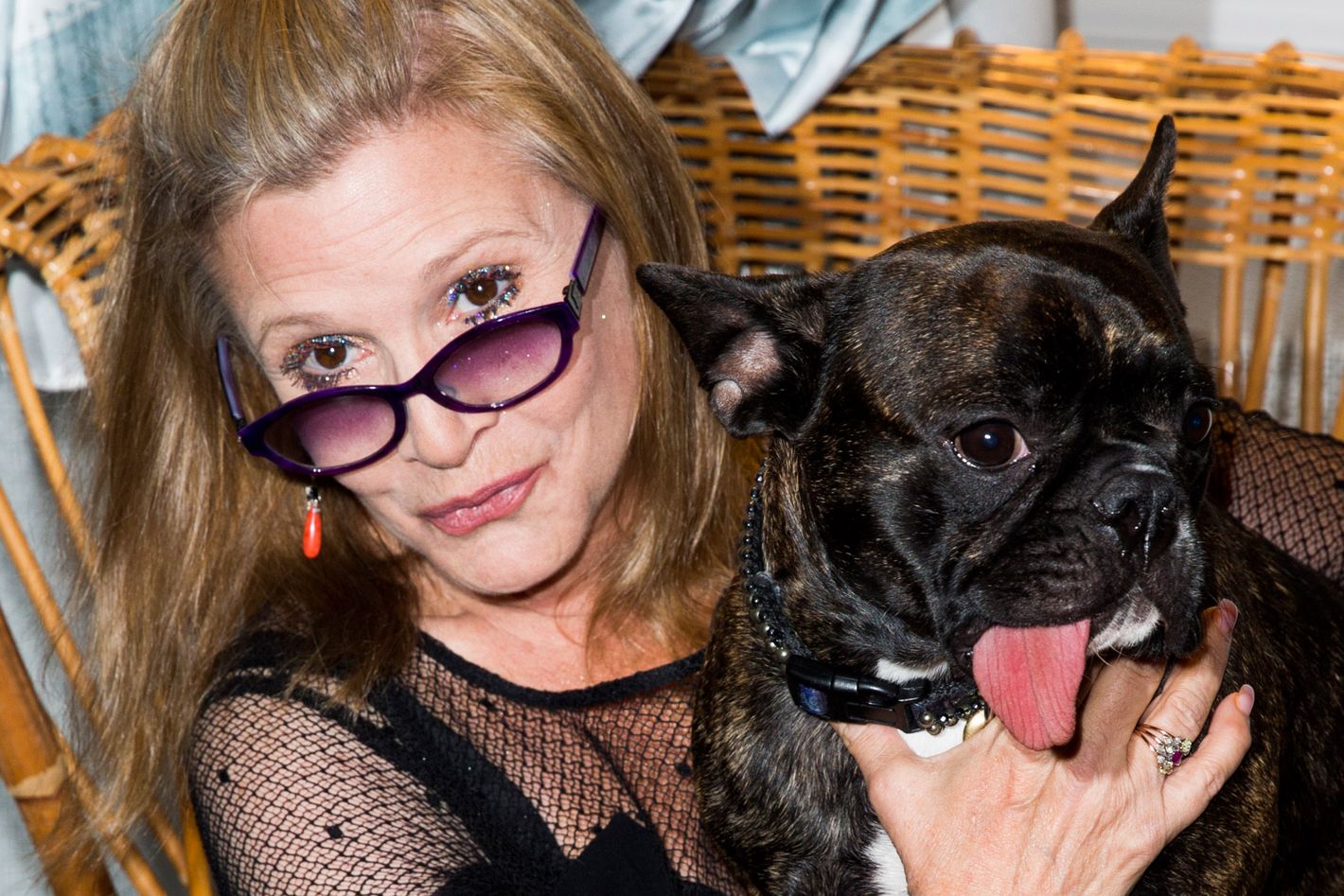 Jenna Fischer Dog