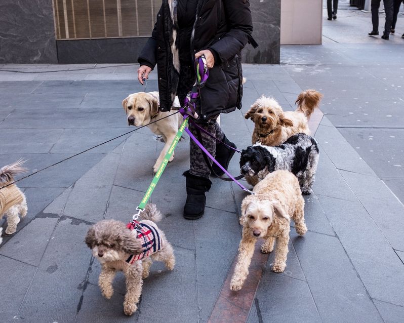 Curbed Cityscape: Urbanism, Architecture, and City News