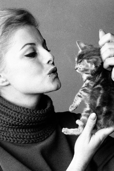 The 50 Most Fabulous (and Famous) Cat Ladies of All Time
