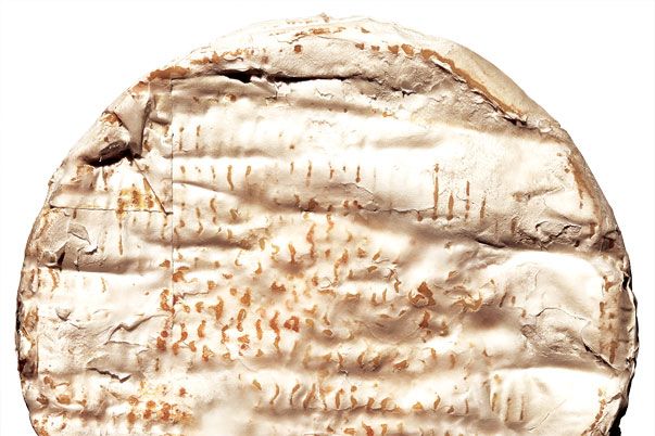 From Adelegger to Zimbro: 50 Runny, Yummy, Crumbly Cheeses to Eat Now