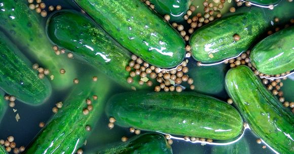 Be a VIPP (Very Important Pickle Person) at Pickle Day