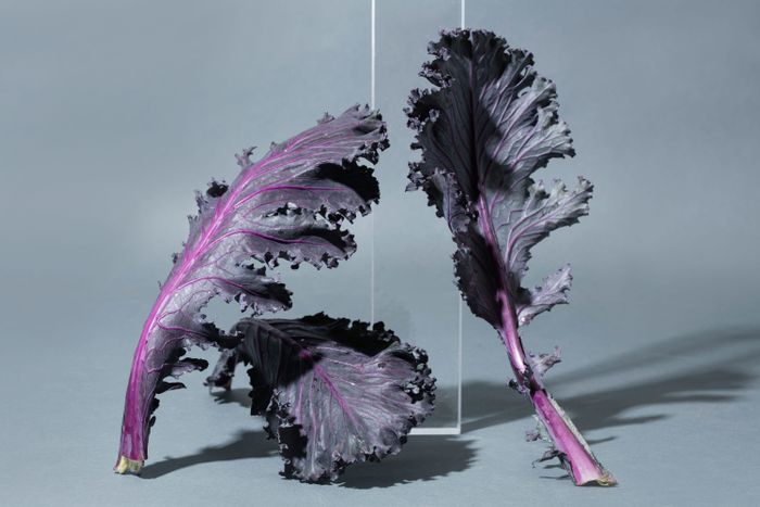 How Farmers Are Growing Futuristic Fruits and Vegetables