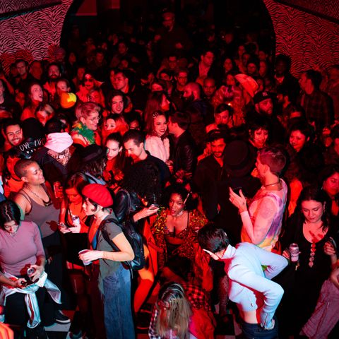 Inside Rachel Rabbit White’s Racuous Book Launch Party