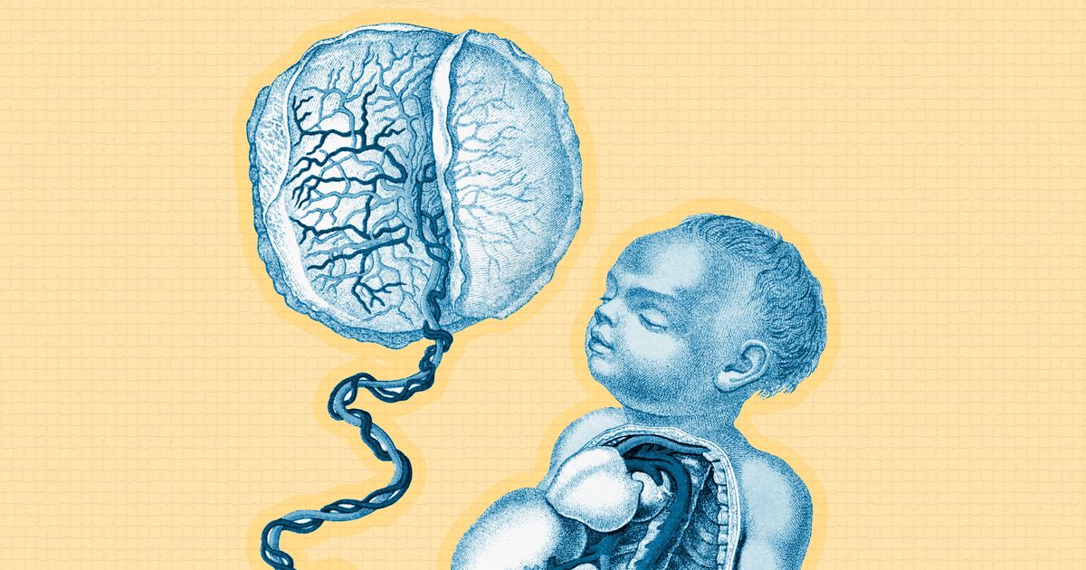 What Is the Human Placenta Project?