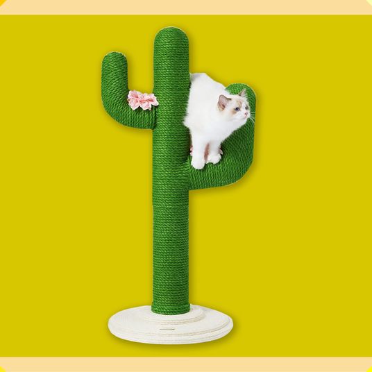 12 Best Cat Carriers | The Strategist