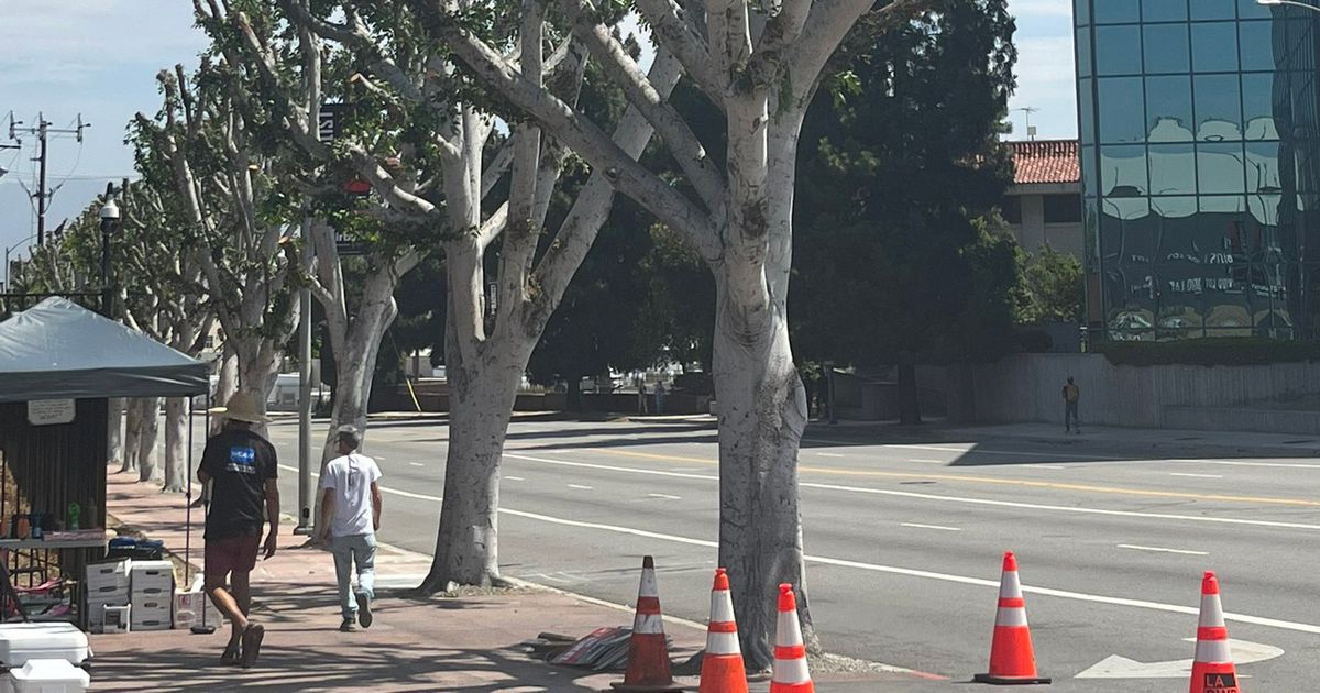 NBC Universal Trims Trees on Writers Guild Picket Line